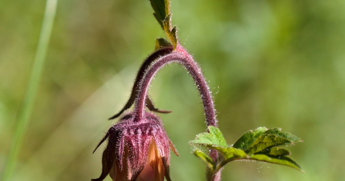 Fotoblogi: Meenutusi eelmise aasta kevadest