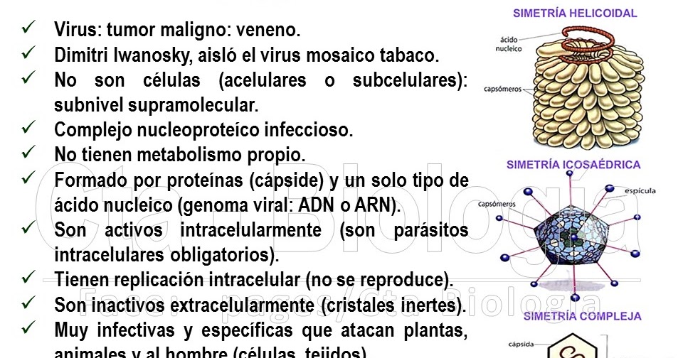 Biología didáctica: NSC 5° BIO - Los Virus