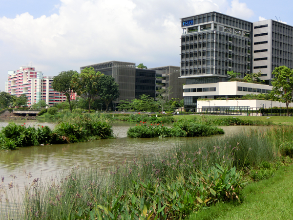 Everyday Nature: KTPH from 6 to 16