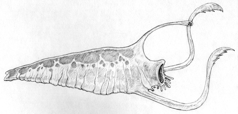 Scribblings or Something: On the Physiology of... the Otyugh - Part Three.