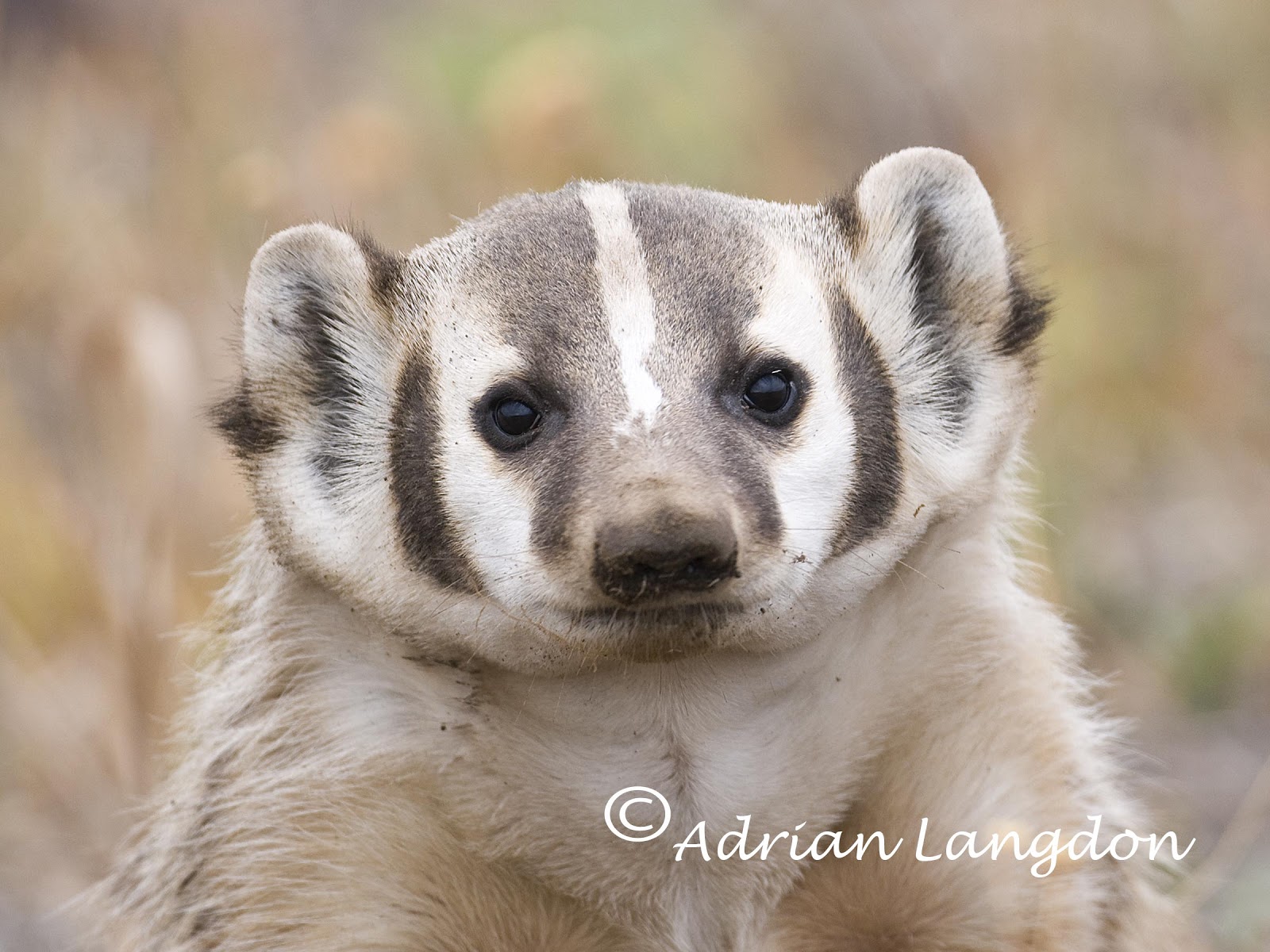 images-naturally!: October 2012