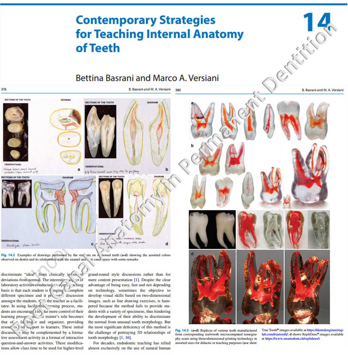 The Root Canal Anatomy Project: 2018