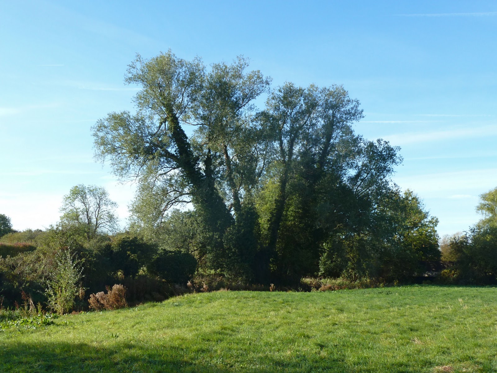 "By Stargoose And Hanglands": Lark Rise Farm And The CRT