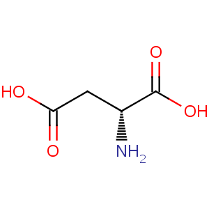 Getting to Know Your Amino Acids: Aspartate