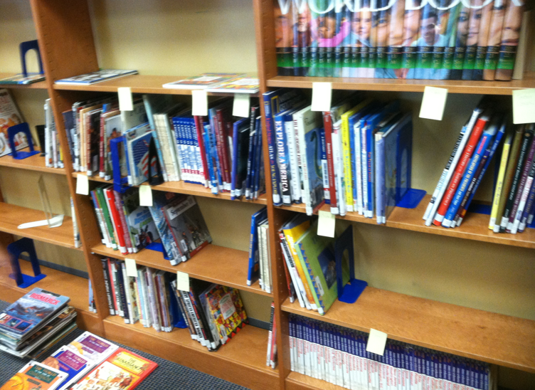 The Library Voice So We Ditched Dewey What Comes Next For Our Books And Shelves the-library-voice-so-we-ditched-dewey-what-comes-next-for-our-books-and-shelves