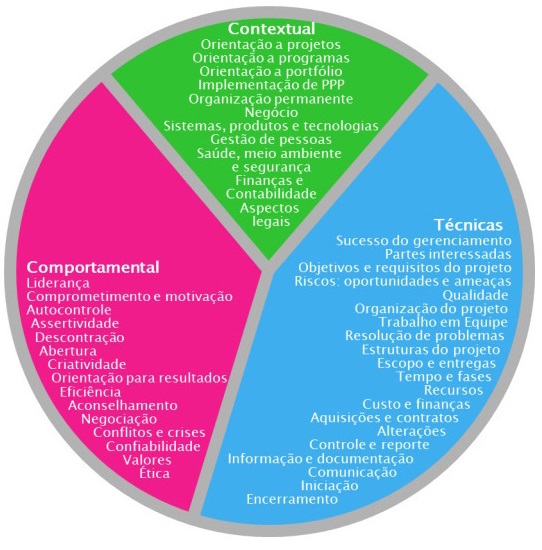 709720: "The Eye of Competence" do IPMA Competence Baseline - ICB