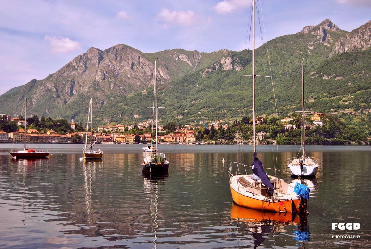 FGGD Arquitectura: mayo 2014