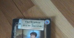 Sorting Through Life's Lessons: The Orphan of Ellis Island