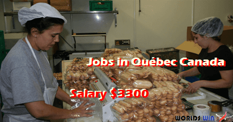 Jobs in Québec Canada submit - Worldswin: jobs apply-immigration advice