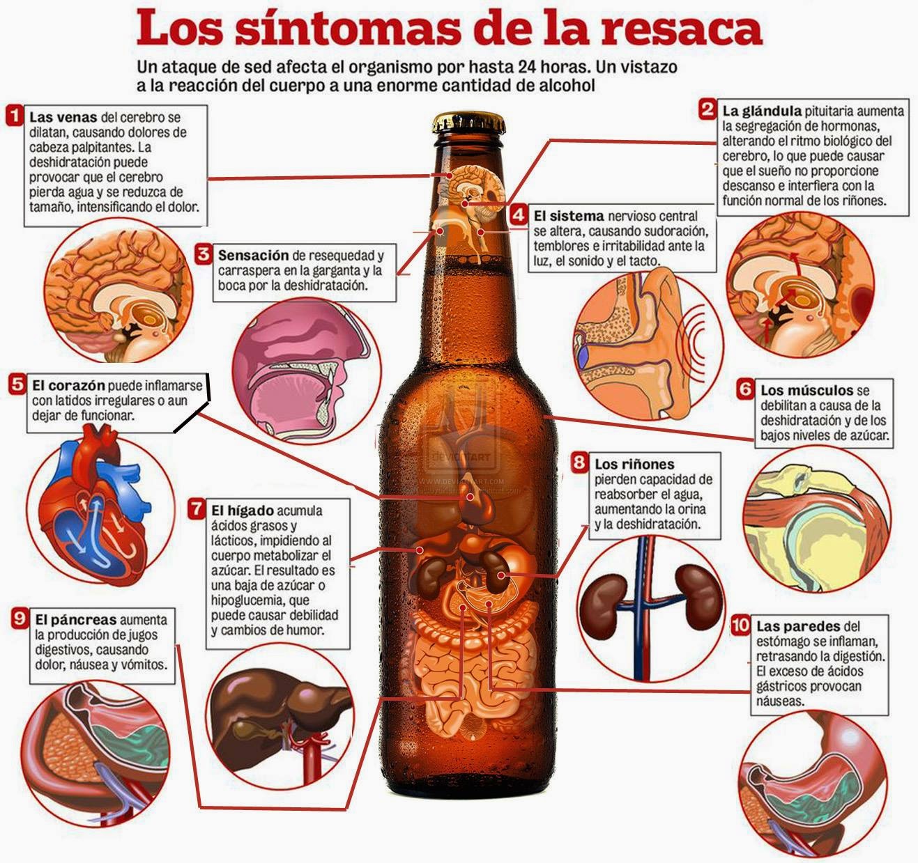 HGCyC: Historia, Genealogía, Ciencias y Curiosidades: Infografia de la ...