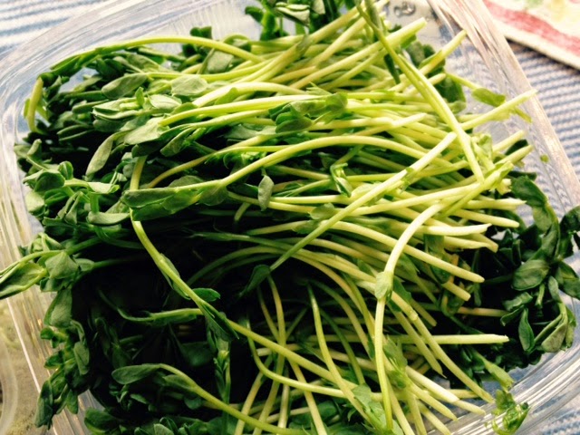 Clipper City Co-op Blog Spot: A visit to Artesian Fresh Farm