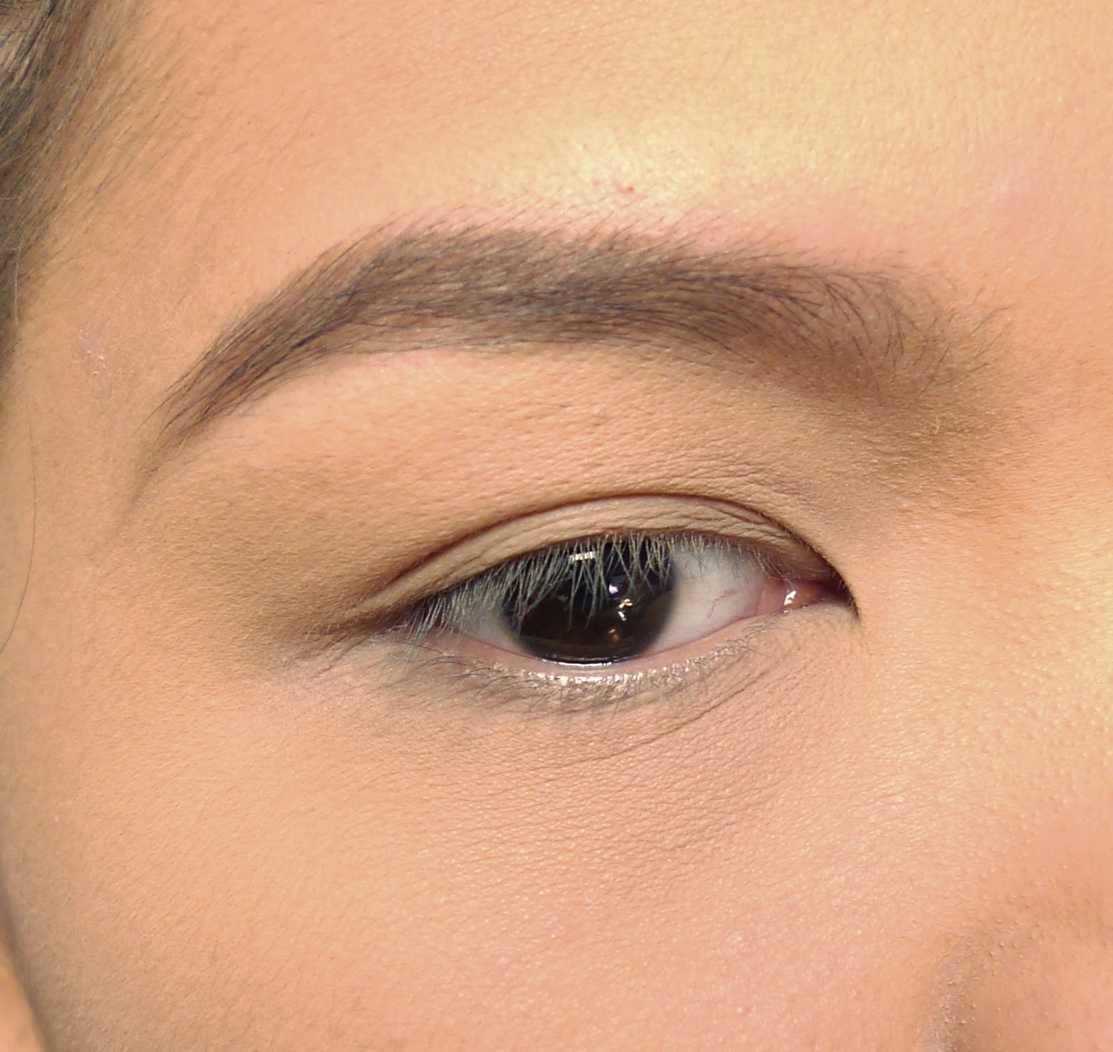 Estēe Lauder Double Wear Stay-In-Place Brow Lift Duo in Soft Brown Review