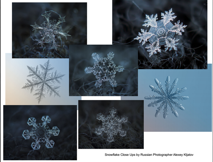 The Artsy Fartsy Art Room: Radial Symmetry Junk & Snowflakes