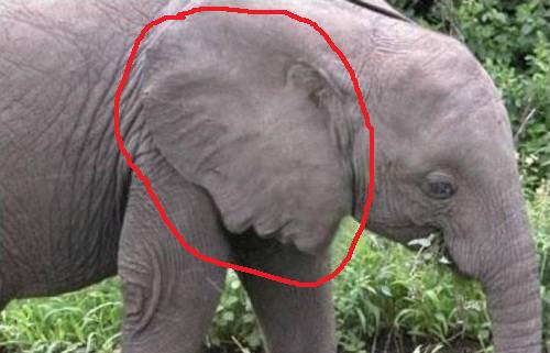 Mighty Lists: 10 things you cannot unsee