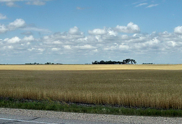 Little Cook from the Prairie in the Big City: Growing up on the ...