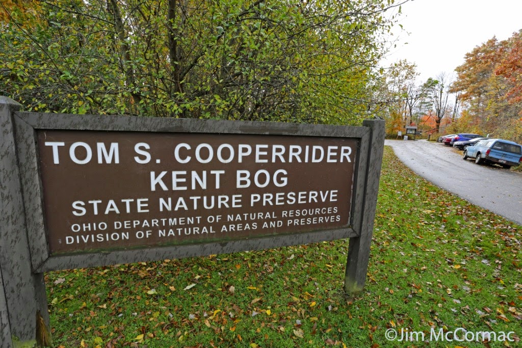 Ohio Birds and Biodiversity: A pictorial stroll through Kent Bog