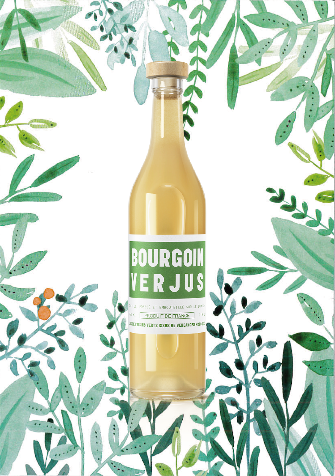 spiritueux magazine: QU’EST CE QUE LE VERJUS ? LE RENOUVEAU D'UN ...