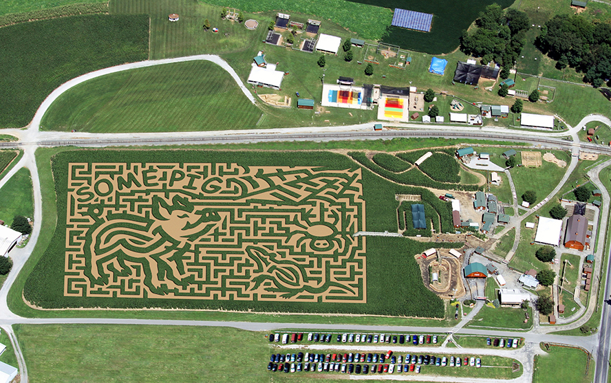 Cherry Crest Adventure Farm Amazing Maize Maze - Fun Things To Do With ...