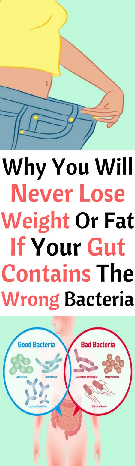 Why you will never lose weight is because your gut has the wrong ...