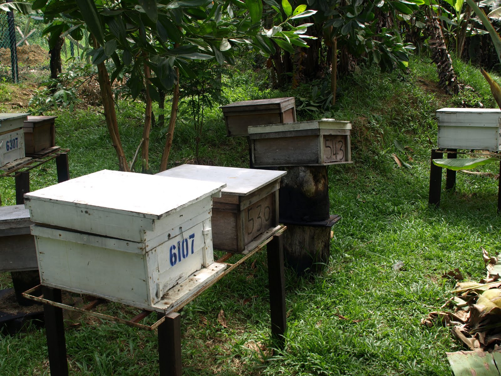 lamankaras.blogspot.com: Kisah Hari Minggu ...