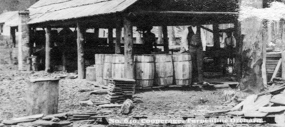 Tammany Family: Turpentine Production