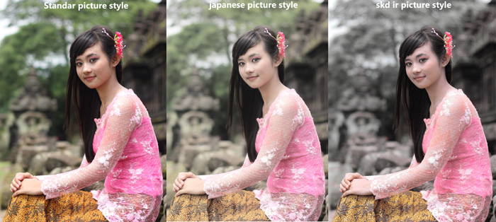 iwan|artphotography: TUTORIAL PENGGUNAAN PICTURE CANON STYLE