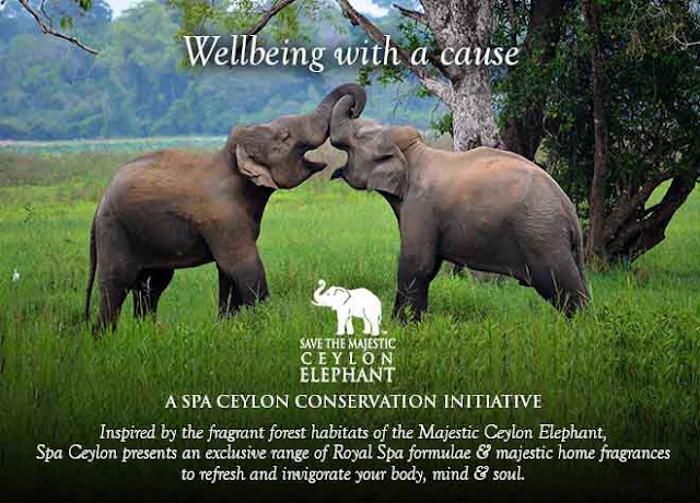 Spa Ceylon: June 2015
