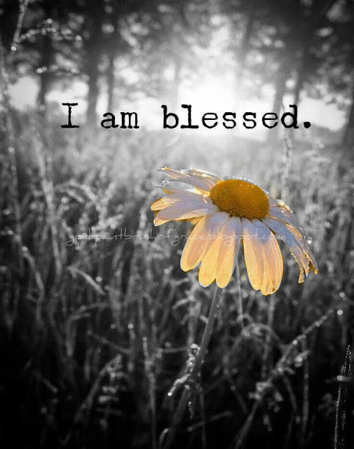 God's Paintbrush of Grace: 2018