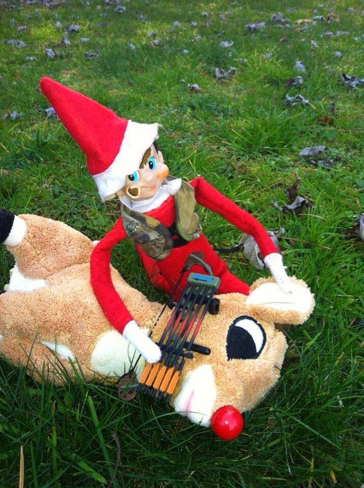 Les (Z)imparfaites: 2014