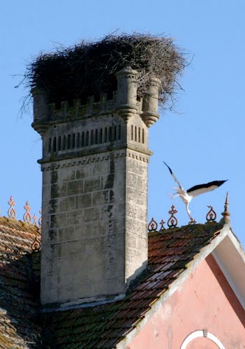 Portugal torrão natal: FREGUESIA DE ALVEGA