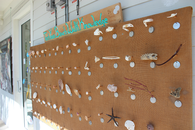 7 Reasons To Take Your Family To South Seas Island Resort | Pieces of a Mom