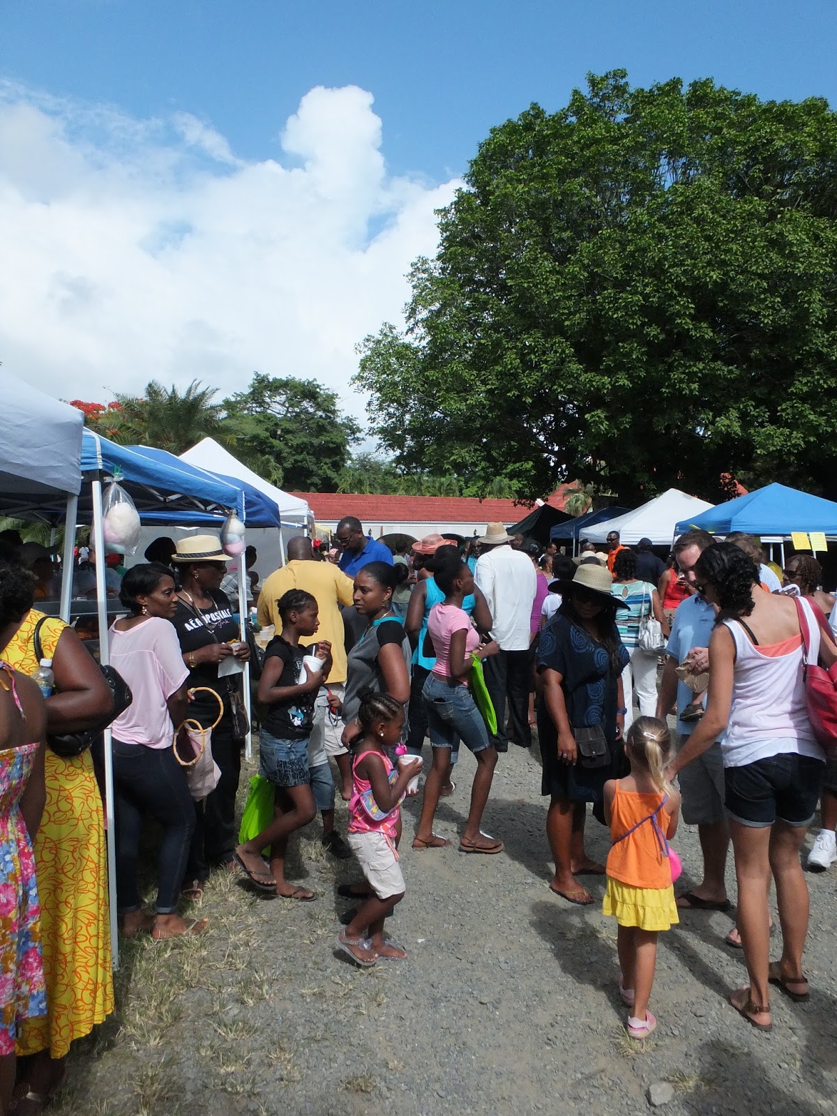 Humanity Squared: St. Croix's Mango Melee