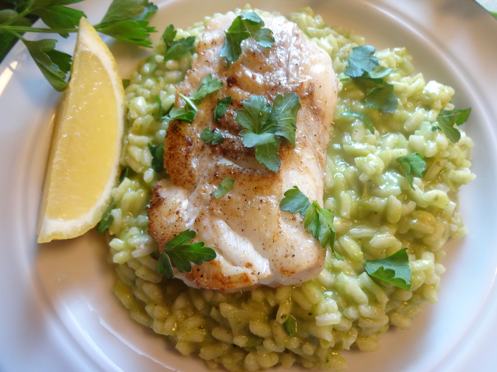 Edels Mat : Grønn risotto med pannestekt torsk