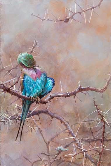 ultimul anotimp...: ."Pasarea spin"