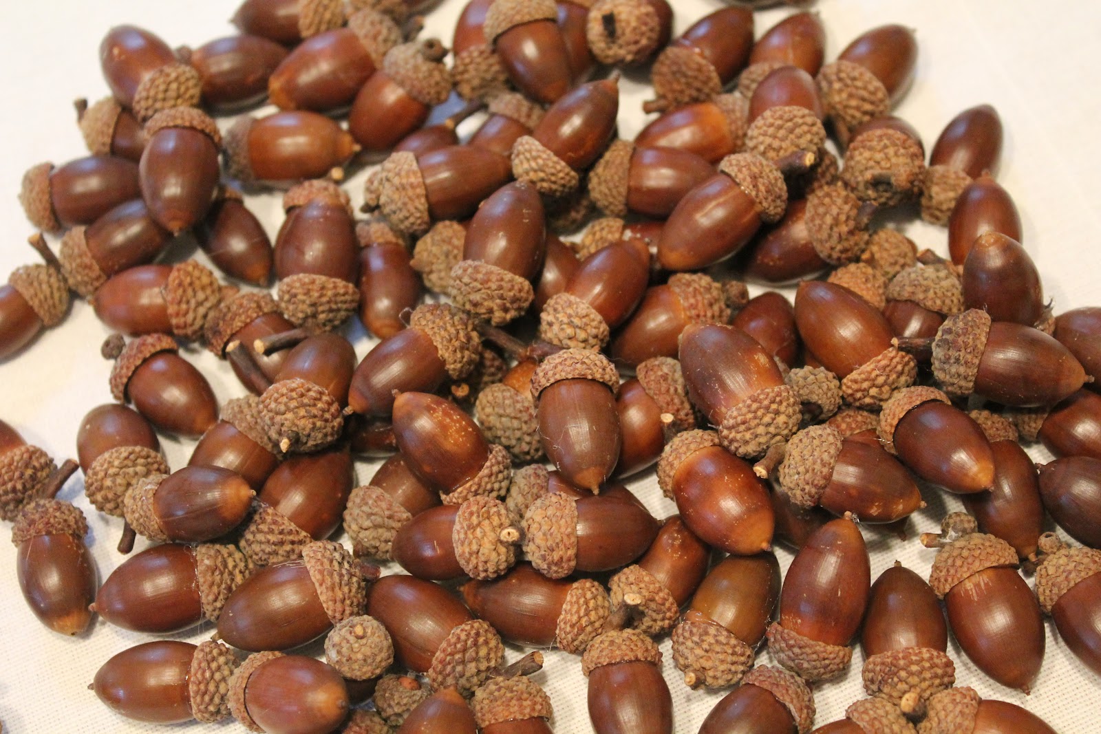 Deconstructing Martha