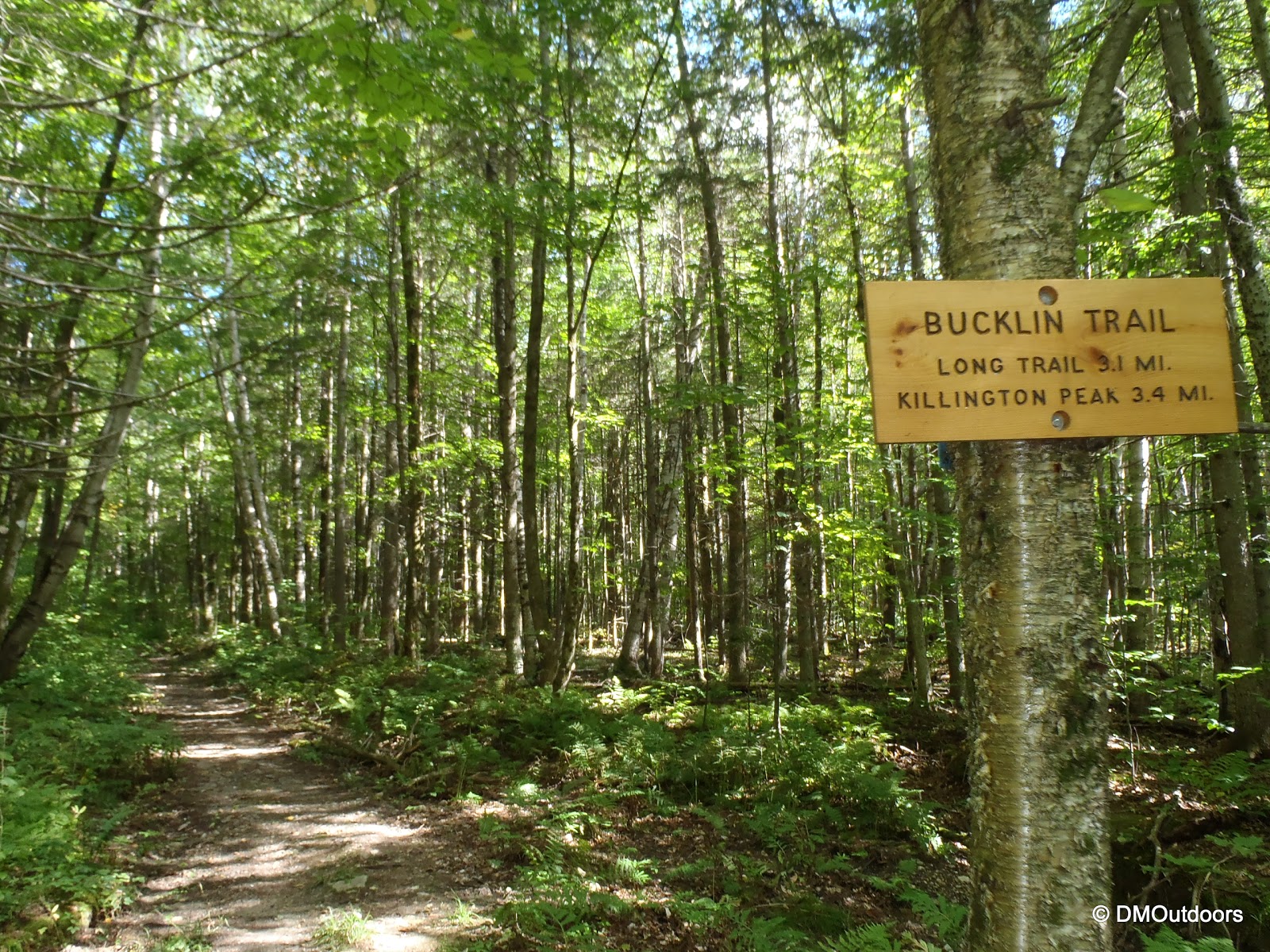 DMOutdoors: Vermont's Five 4000 Footers in Two Days
