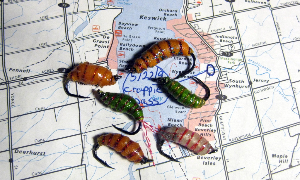 Dead Fisher: The Simcoe Bug