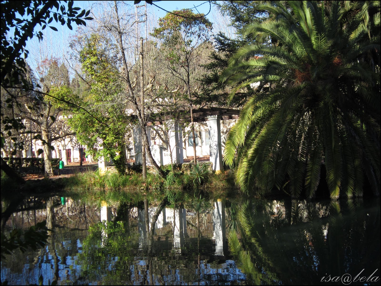 UM PIGO DE LUZ: Parque das Termas da Curia / Anadia