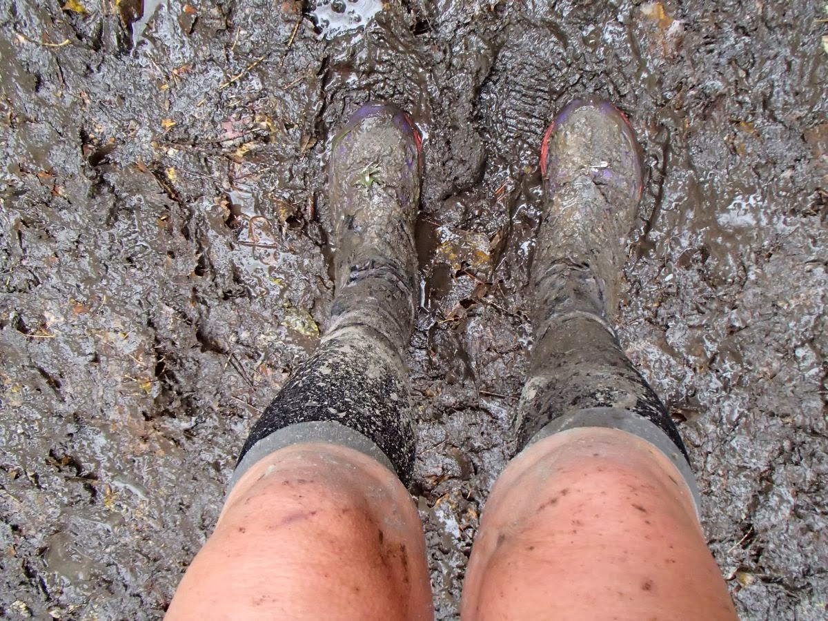 How was your week? Oct. 28 Edition - Triathlon Forum - Slowtwitch Forum