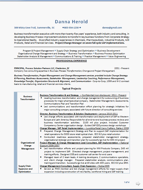 Business Transformation Executive Resume Format in Word Free Download
