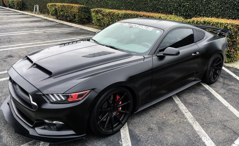 Severe apparatus - One mean Mustang - My Interests