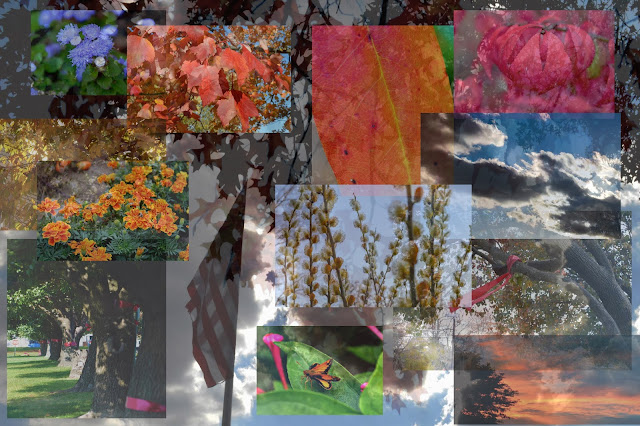 The Silver Scroll: Fall Photography Collage