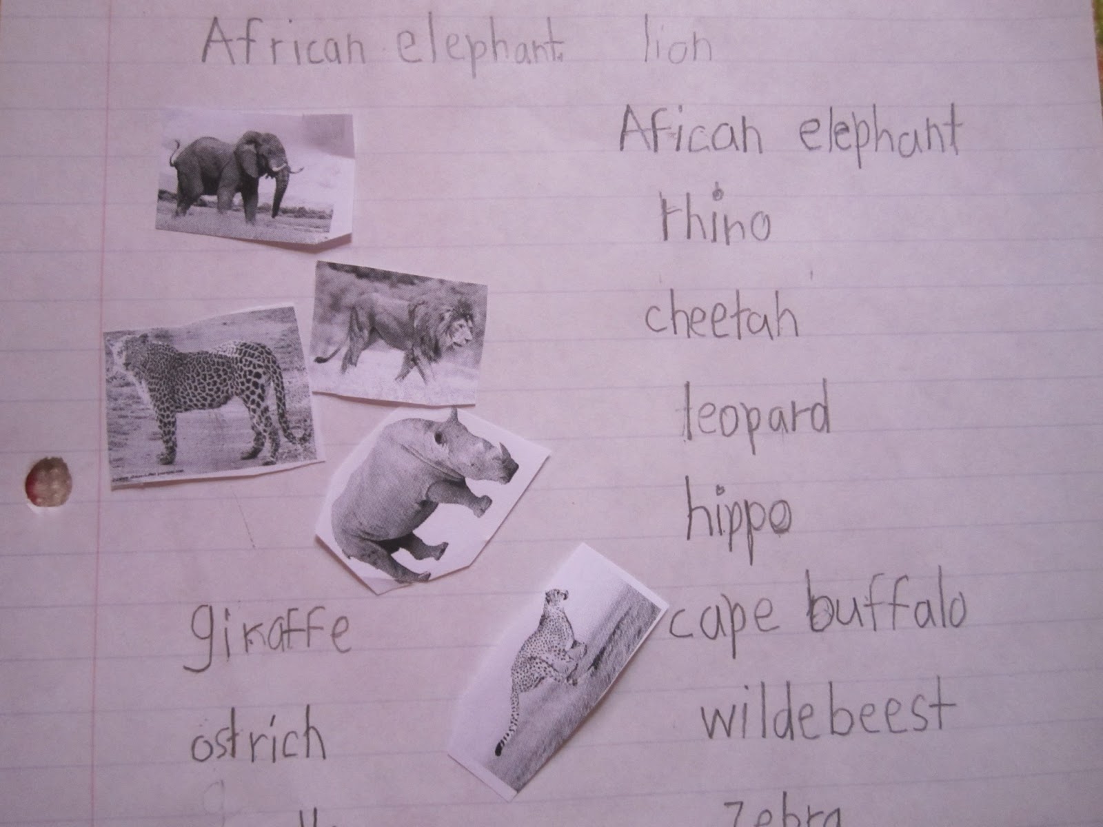 Another Science Project in First Grade