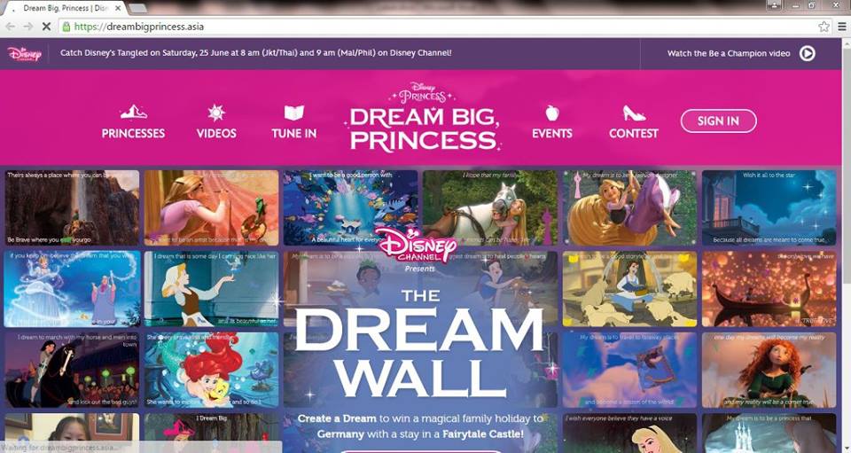 The Beauty Junkie - ranechin.com: Disney “Dream Big, Princess” Campaign ...