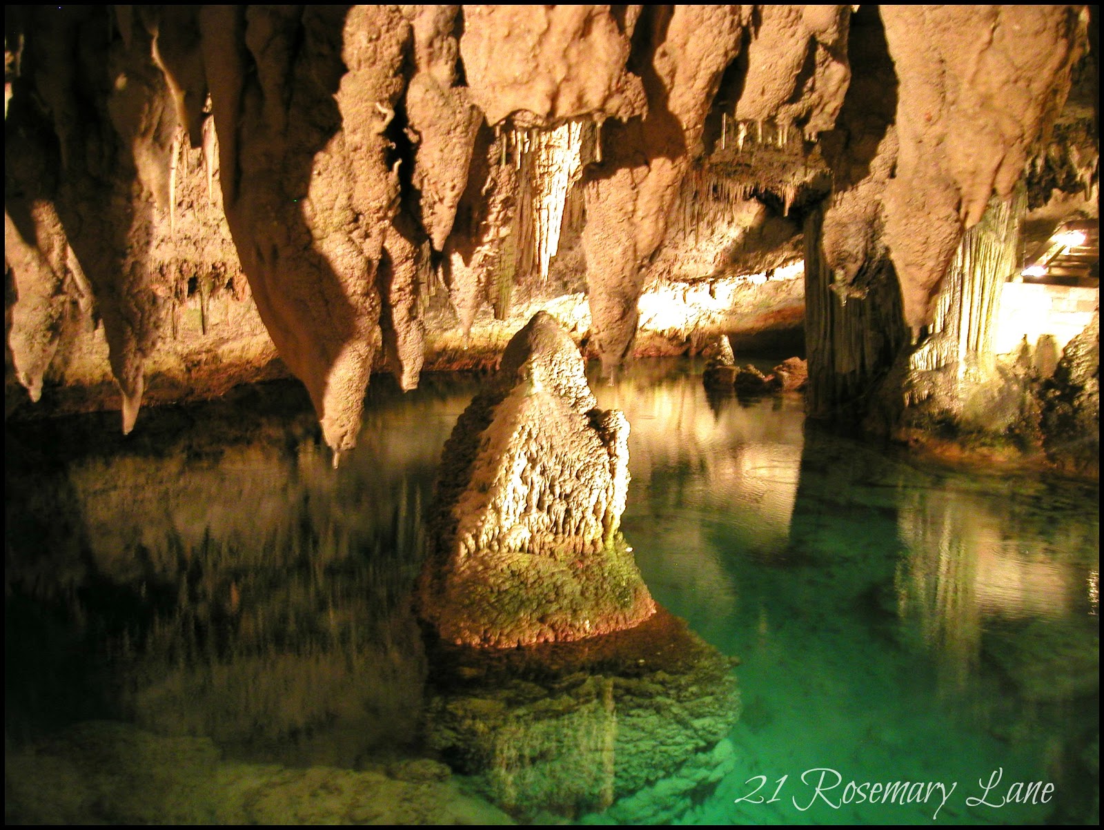 21 Rosemary Lane: Chasing Away the Winter Blues