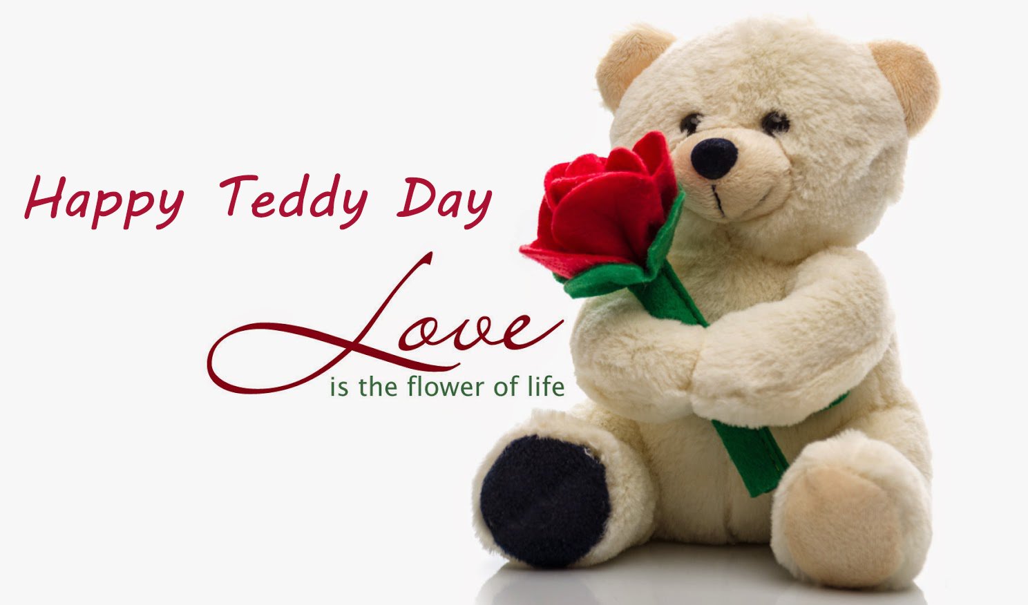 Happy Teddy Day 2017 ~ Valentine's Day Specialist
