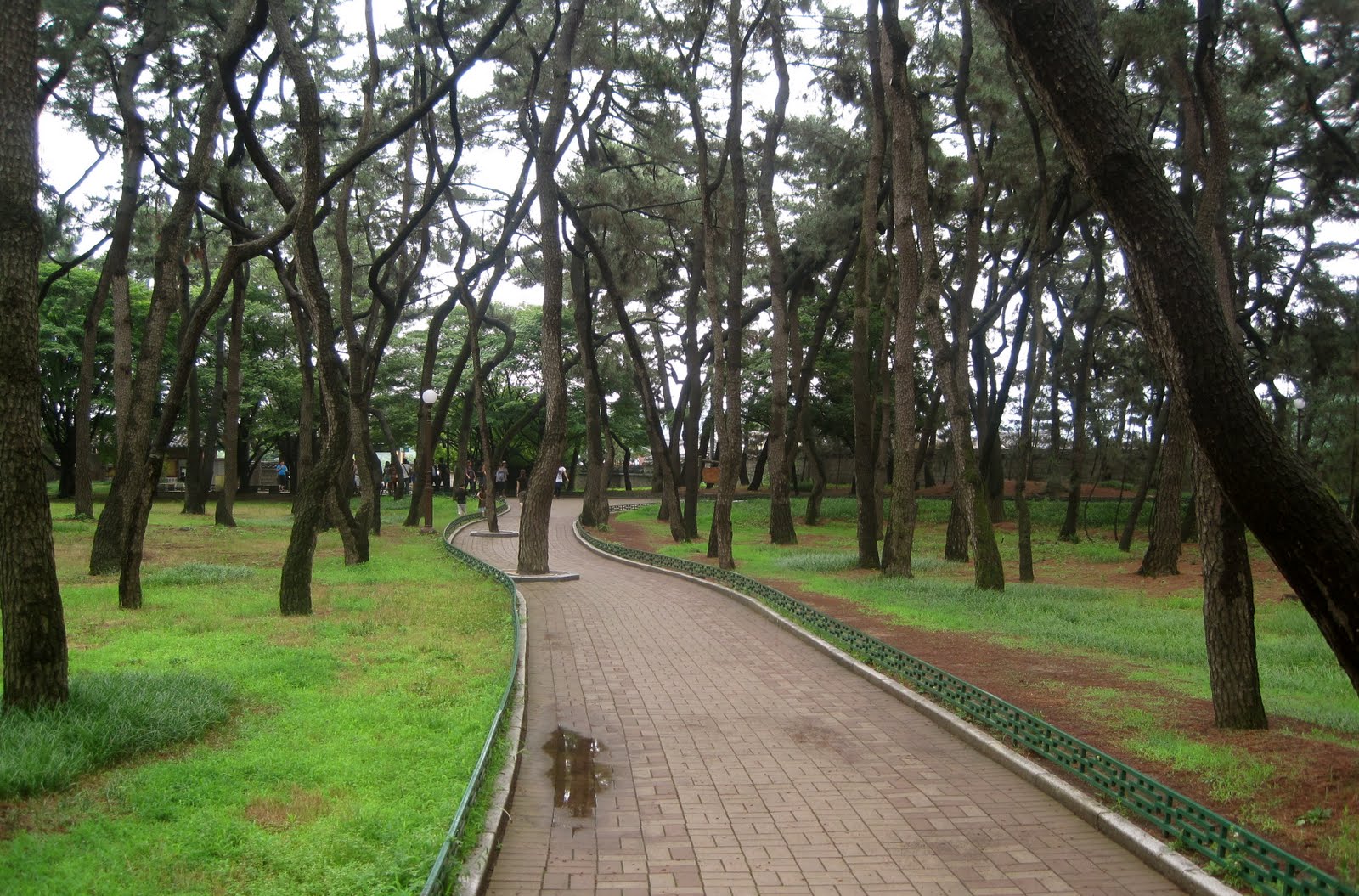 Going to Gyeongju | Koreabridge