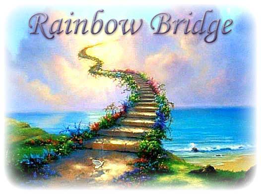 Peaches and Paprika: BLOGGER RAINBOW BRIDGE REMEMBRANCE SLIDESHOW 2015