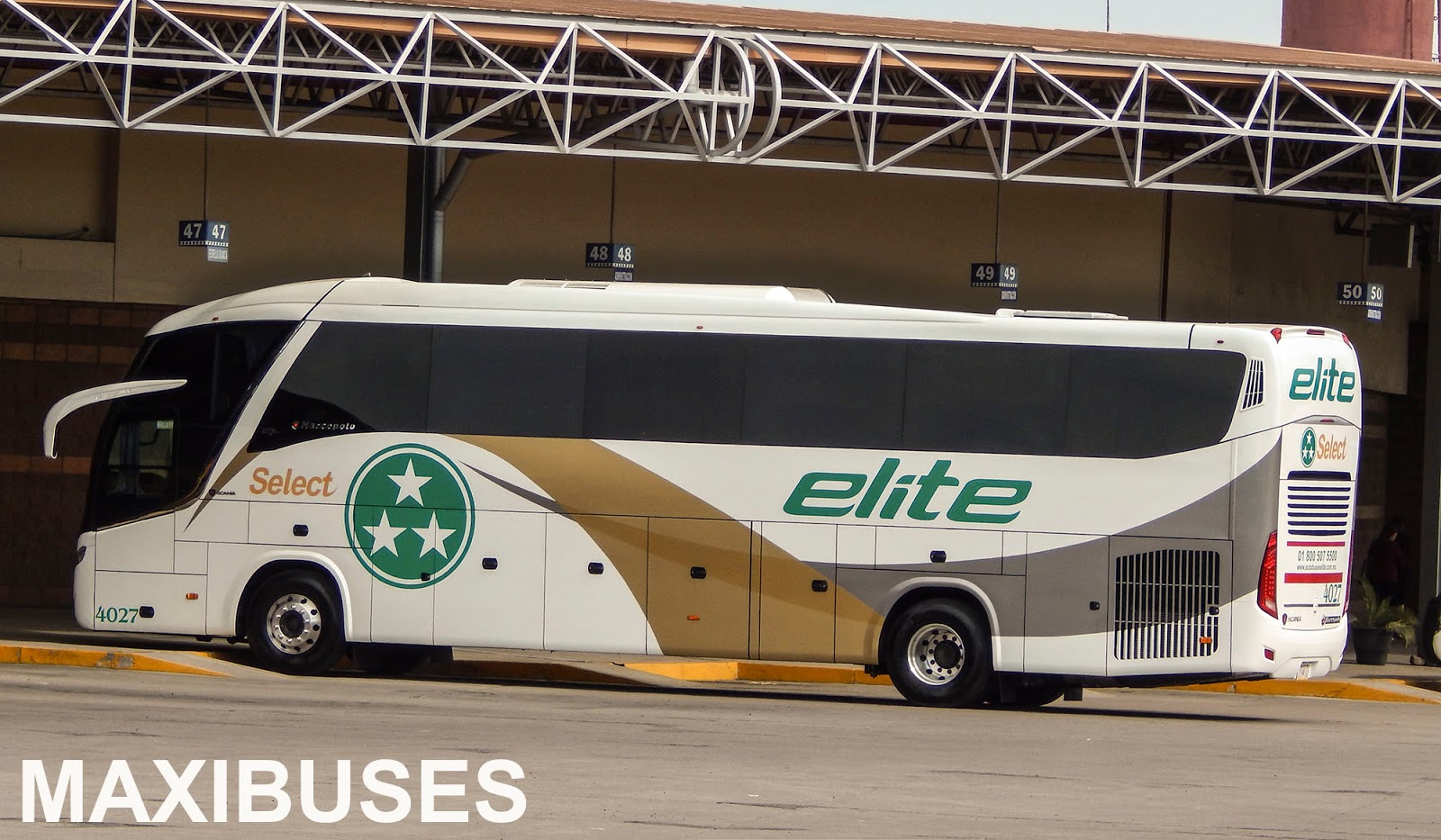 MAXIBUSES: ELITE SELECT - NUEVAS UNIDADES