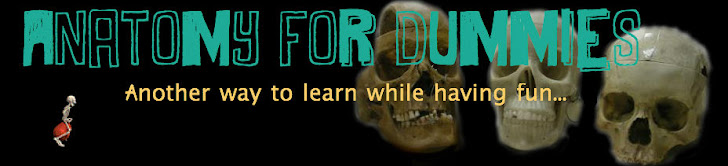 Human Anatomy for Dummies: Anatomía Humana